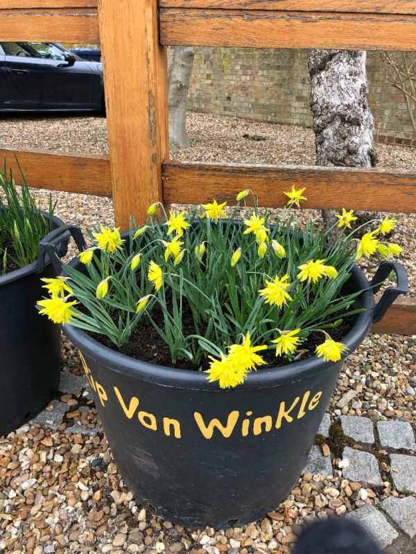 Cambridge Group - Ramblers